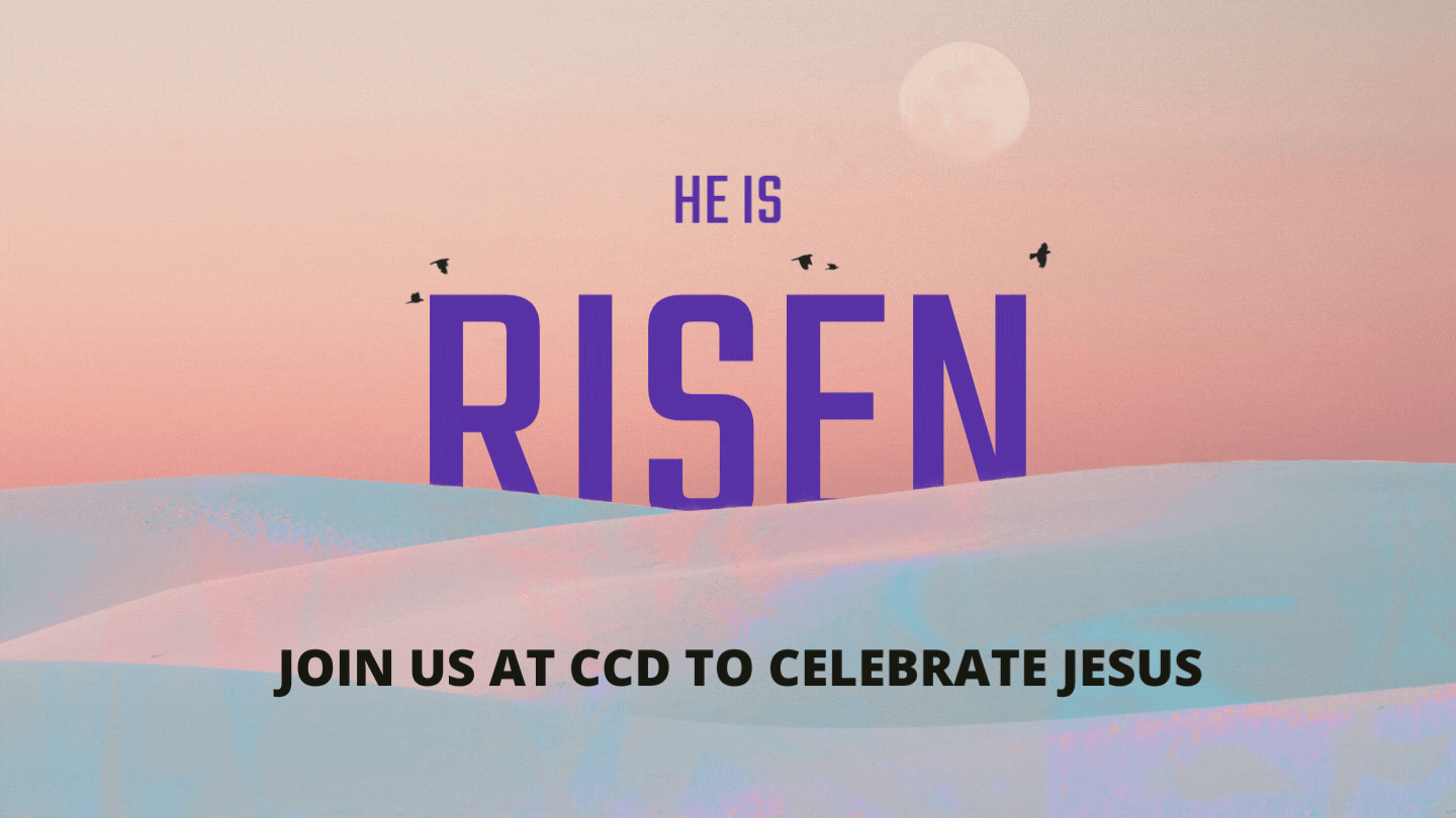 Home Page | Christ Church Dingley